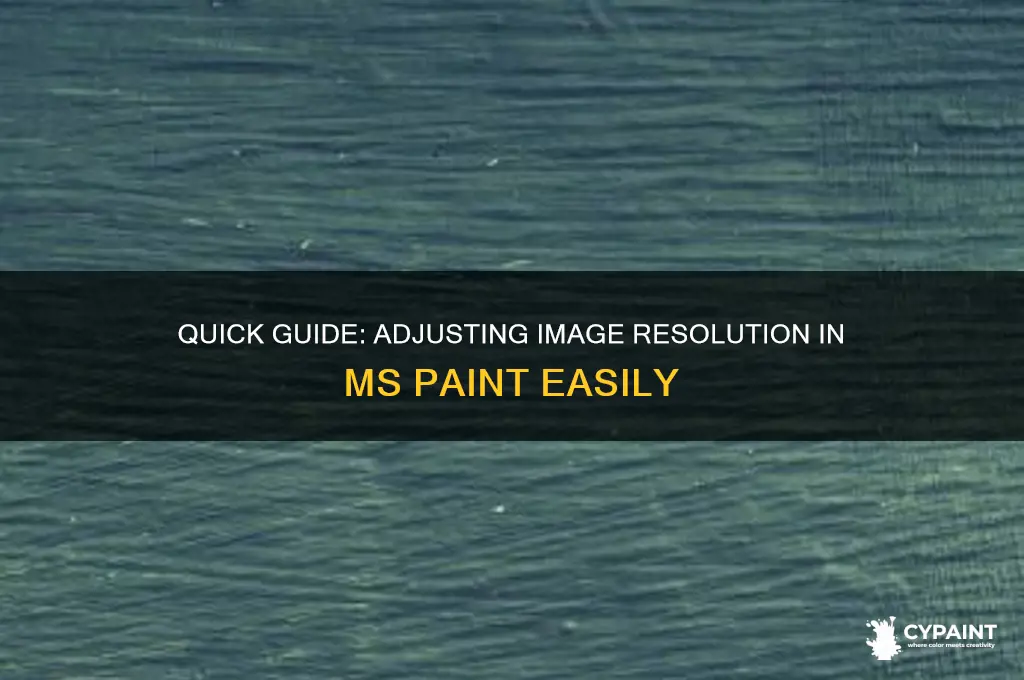 Quick Guide: Adjusting Image Resolution In Ms Paint Easily | CyPaint