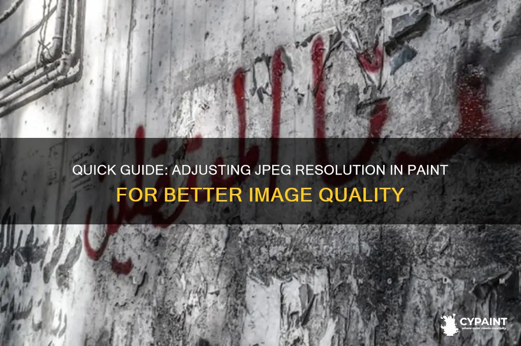 Quick Guide: Adjusting Jpeg Resolution In Paint For Better Image ...