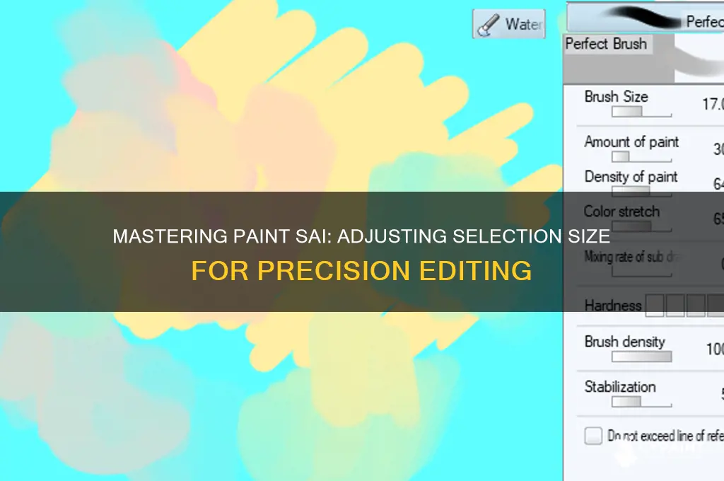 Mastering Paint Sai: Adjusting Selection Size For Precision Editing ...