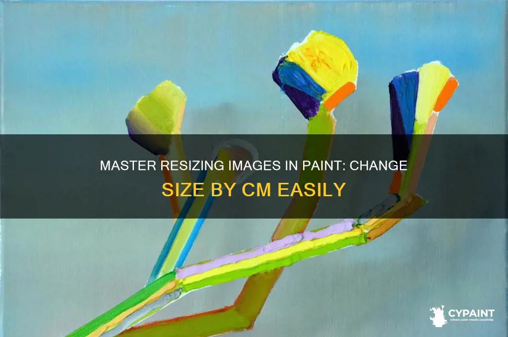 Master Resizing Images In Paint: Change Size By Cm Easily | CyPaint