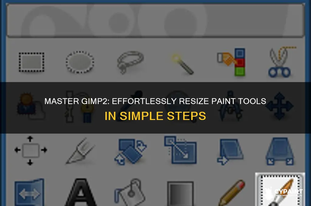 Master Gimp2: Effortlessly Resize Paint Tools In Simple Steps | CyPaint
