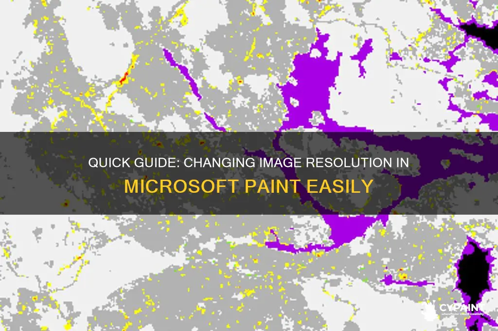 Quick Guide: Changing Image Resolution In Microsoft Paint Easily | CyPaint