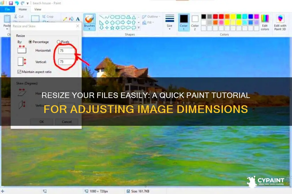 Resize Your Files Easily: A Quick Paint Tutorial For Adjusting Image ...