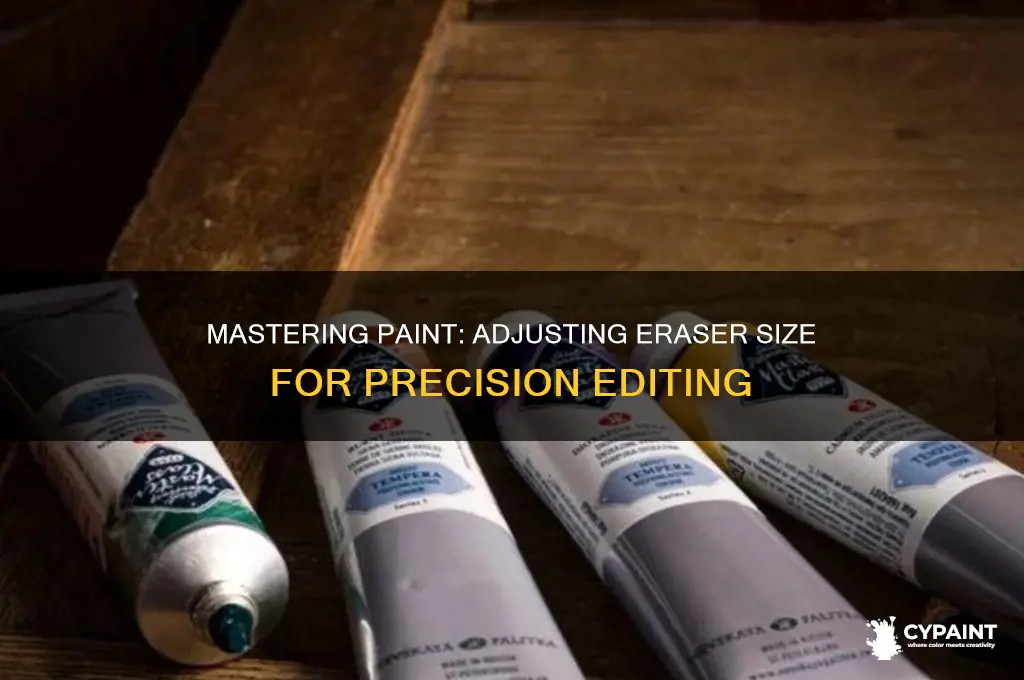 Mastering Paint: Adjusting Eraser Size For Precision Editing | CyPaint