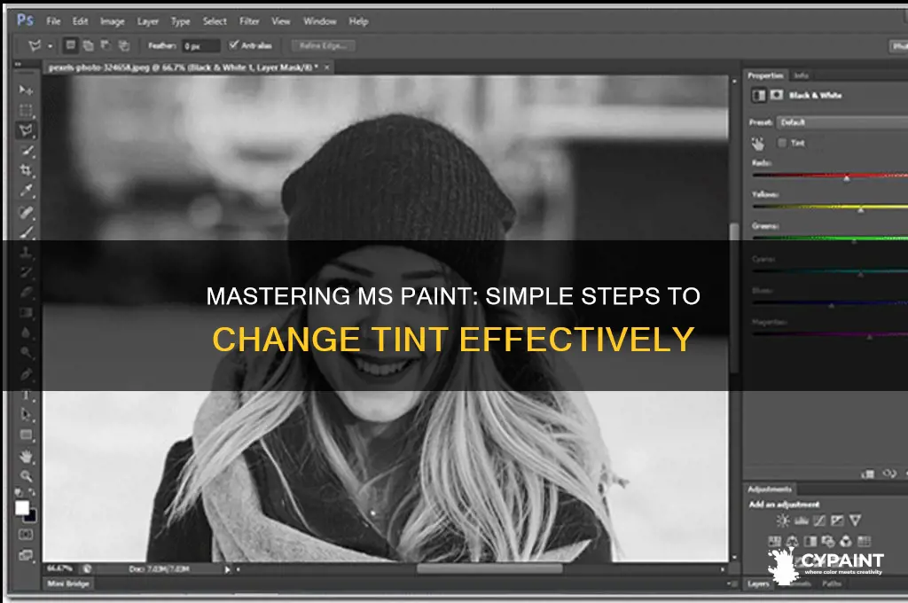 Mastering Ms Paint: Simple Steps To Change Tint Effectively | CyPaint