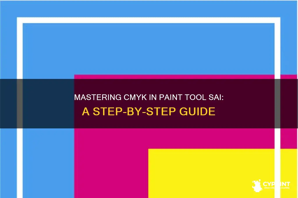Mastering Cmyk In Paint Tool Sai: A Step-By-Step Guide | CyPaint