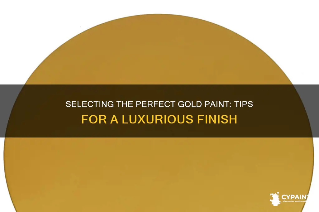 Selecting The Perfect Gold Paint: Tips For A Luxurious Finish | CyPaint