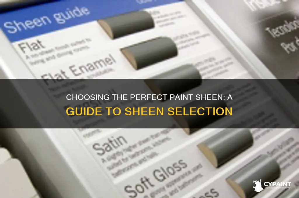 Choosing The Perfect Paint Sheen: A Guide To Sheen Selection | CyPaint