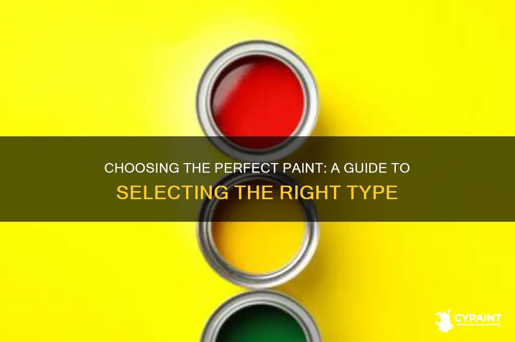 Choosing The Perfect Paint: A Guide To Selecting The Right Type | CyPaint