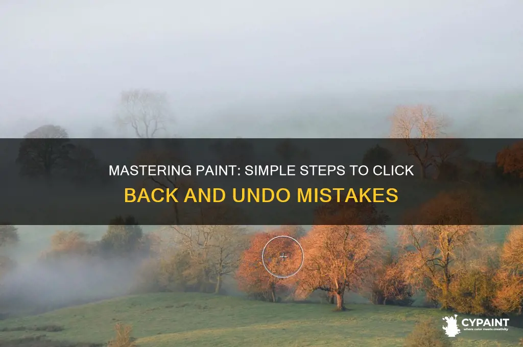 Mastering Paint: Simple Steps To Click Back And Undo Mistakes | CyPaint