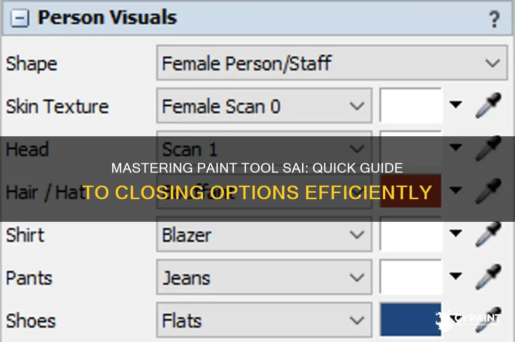 Mastering Paint Tool Sai: Quick Guide To Closing Options Efficiently ...