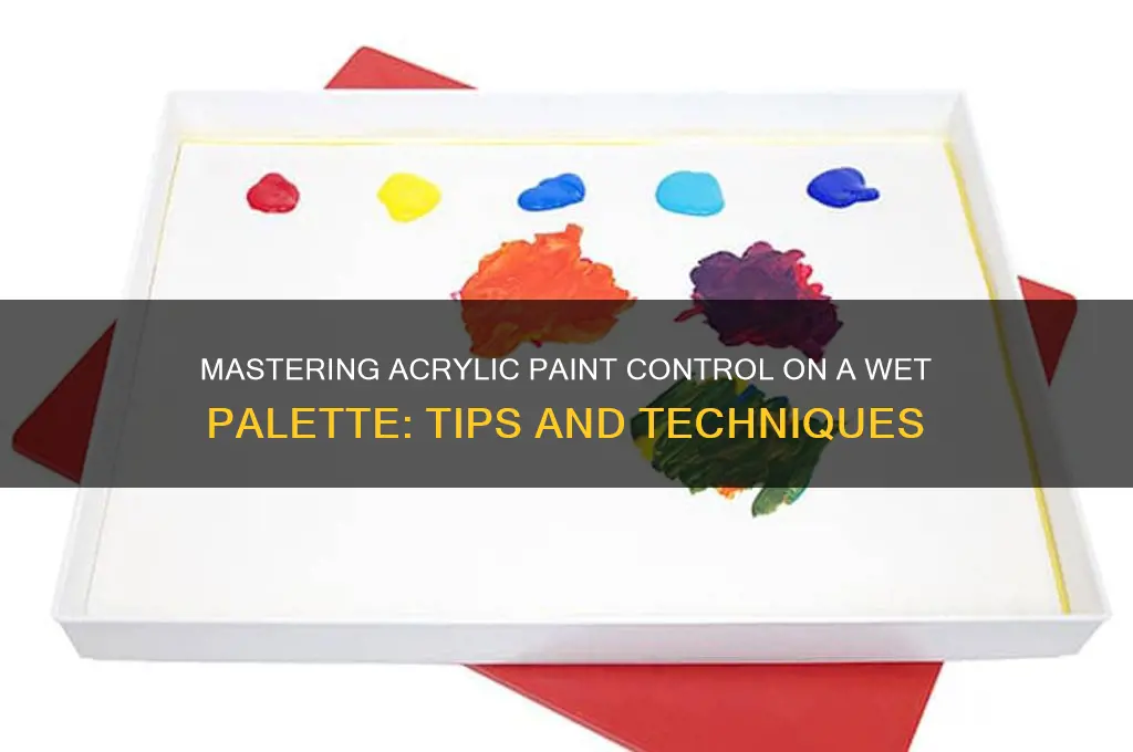 Mastering Acrylic Paint Control On A Wet Palette: Tips And Techniques ...