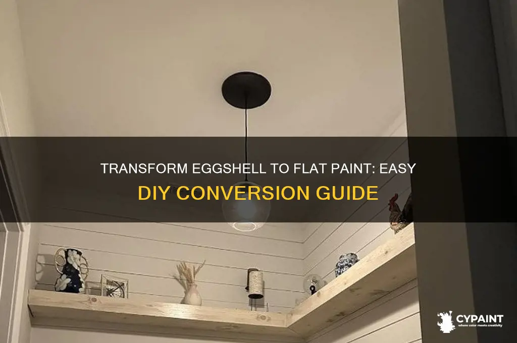 Transform Eggshell To Flat Paint: Easy Diy Conversion Guide | CyPaint