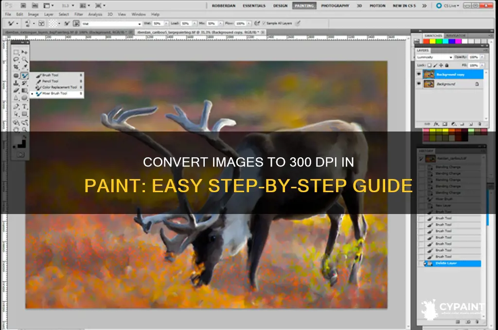 Convert Images To 300 Dpi In Paint: Easy Step-By-Step Guide | CyPaint