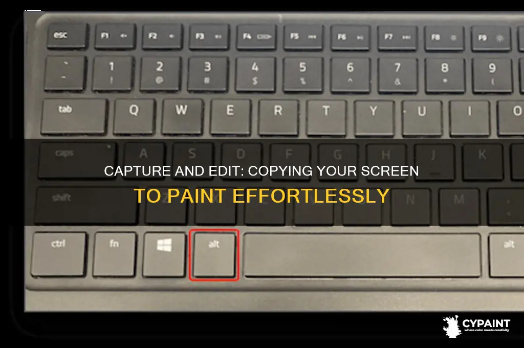 Capture And Edit: Copying Your Screen To Paint Effortlessly | CyPaint