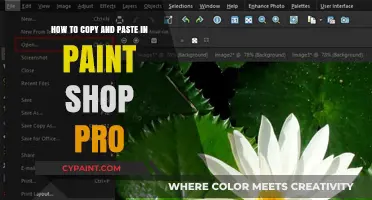 Copying Files To Edit In Ms Paint: A Guide | CyPaint