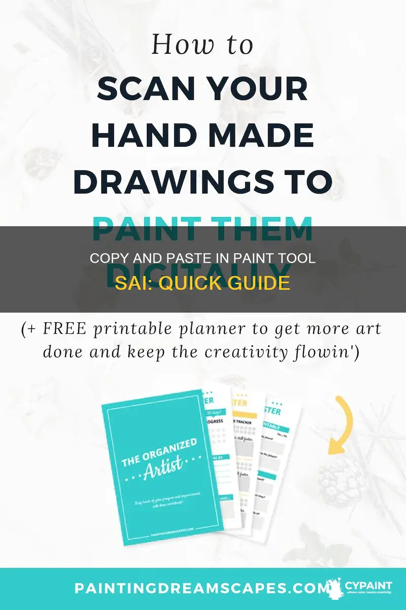 Copy And Paste In Paint Tool Sai: Quick Guide | CyPaint