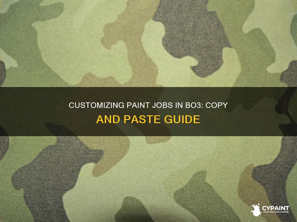Customizing Paint Jobs In Bo3: Copy And Paste Guide | CyPaint