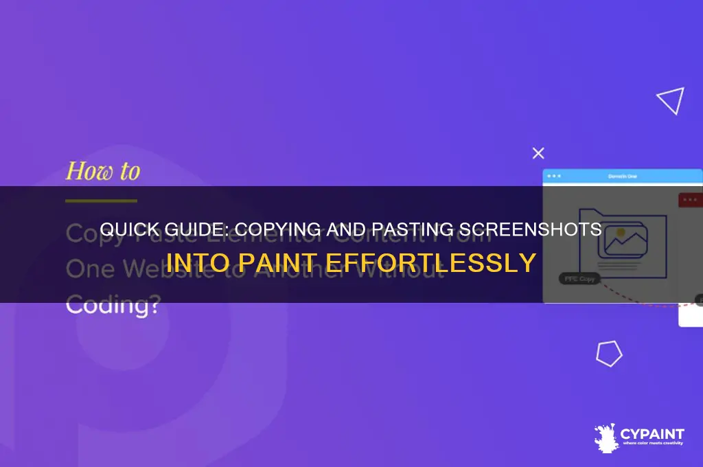 Quick Guide: Copying And Pasting Screenshots Into Paint Effortlessly ...