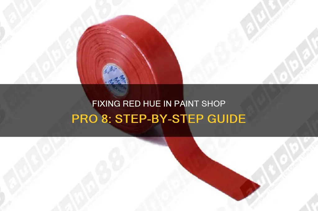 Fixing Red Hue In Paint Shop Pro 8: Step-By-Step Guide | CyPaint