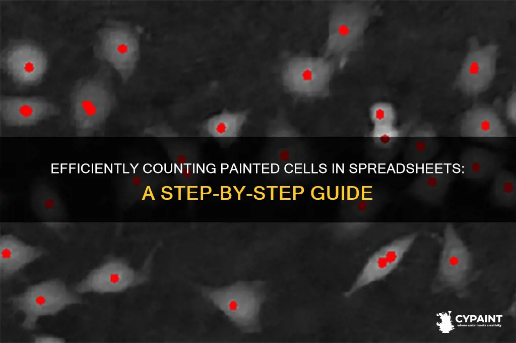 Efficiently Counting Painted Cells In Spreadsheets: A Step-By-Step ...