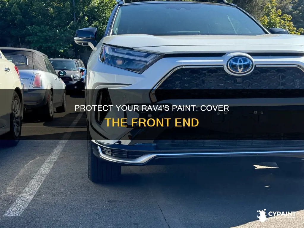 Protect Your Rav4's Paint: Cover The Front End | CyPaint