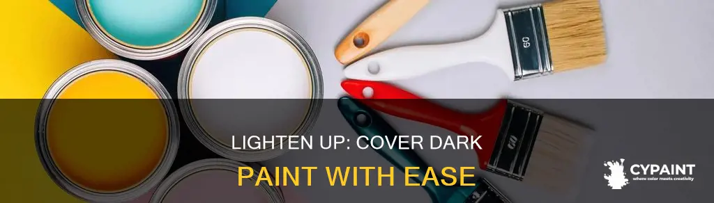 Lighten Up: Cover Dark Paint With Ease | CyPaint