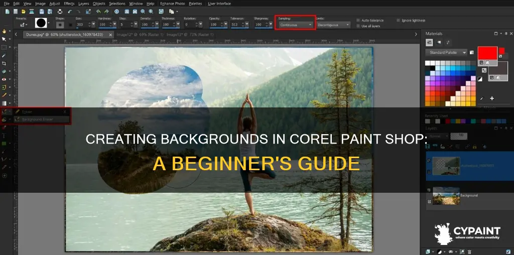 Creating Backgrounds In Corel Paint Shop: A Beginner's Guide | CyPaint