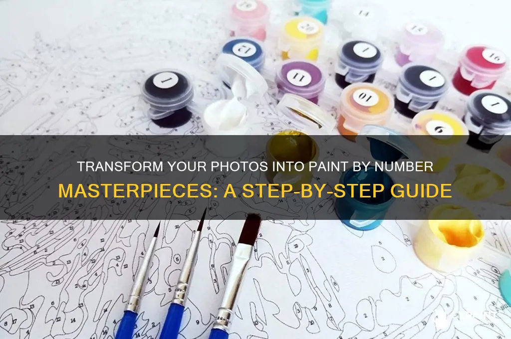 Transform Your Photos Into Paint By Number Masterpieces: A Step-By-Step ...