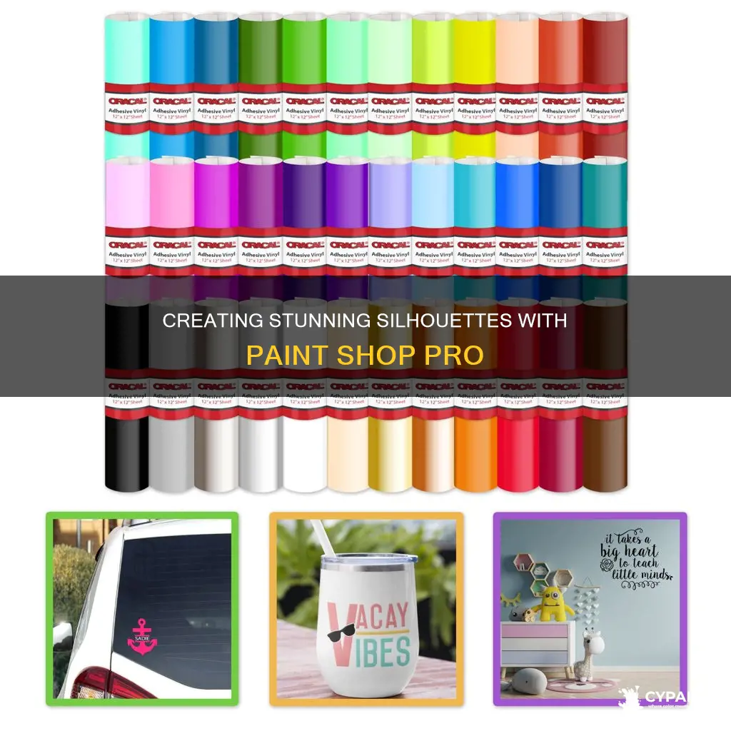 Creating Stunning Silhouettes With Paint Shop Pro | CyPaint