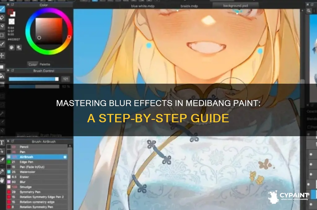 Mastering Blur Effects In Medibang Paint: A Step-By-Step Guide | CyPaint