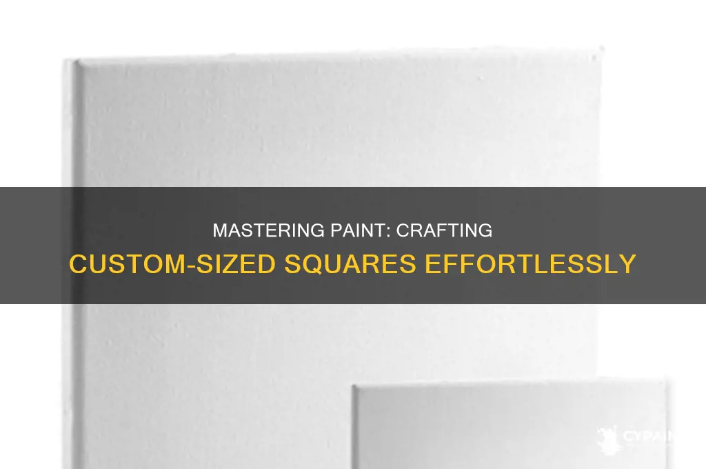 Mastering Paint: Crafting Custom-Sized Squares Effortlessly | CyPaint