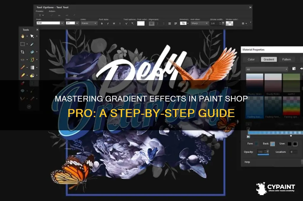 Mastering Gradient Effects In Paint Shop Pro: A Step-By-Step Guide ...