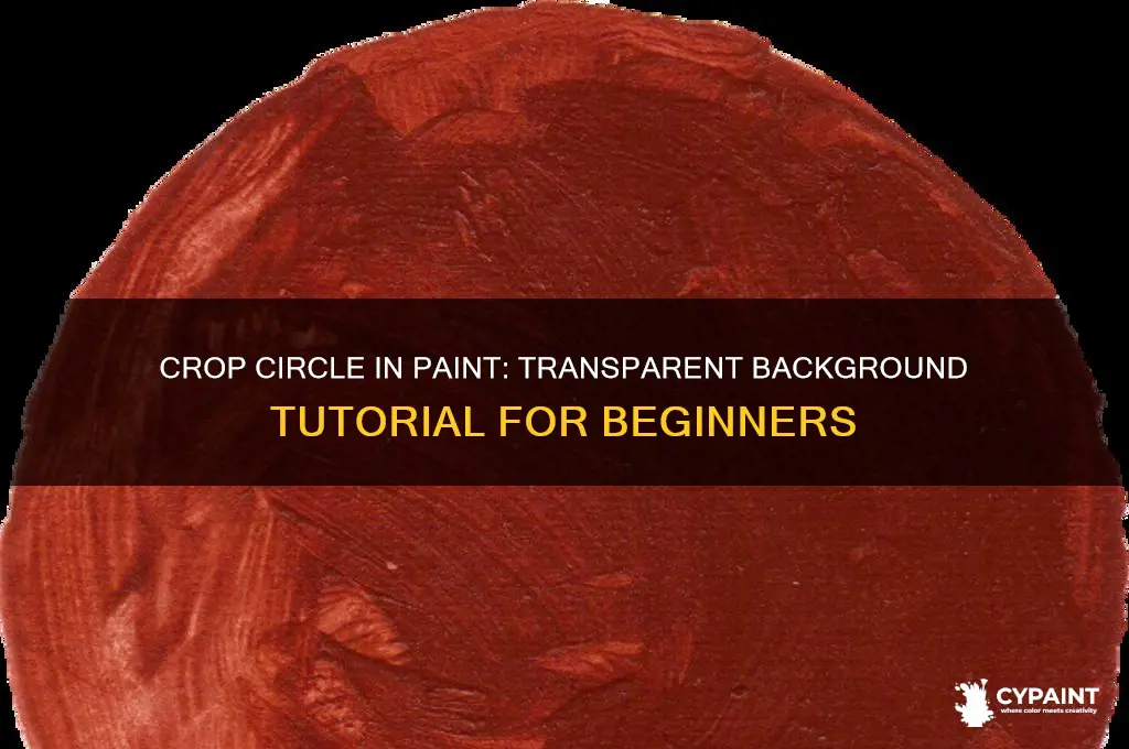 Crop Circle In Paint: Transparent Background Tutorial For Beginners ...