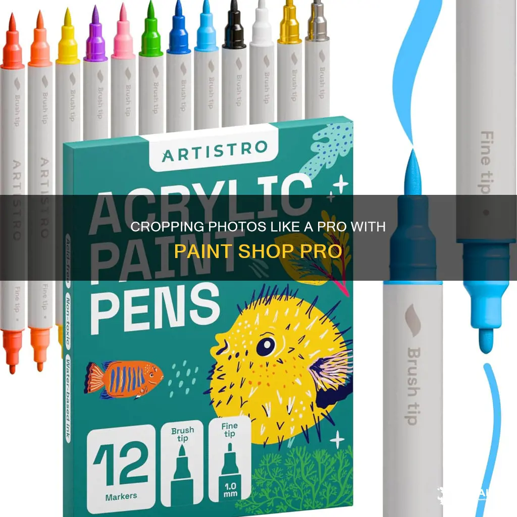 Cropping Photos Like A Pro With Paint Shop Pro | CyPaint