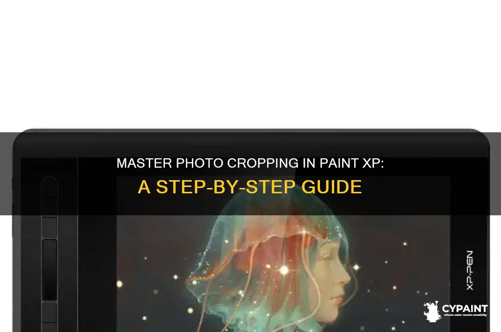 Master Photo Cropping In Paint Xp: A Step-By-Step Guide | CyPaint