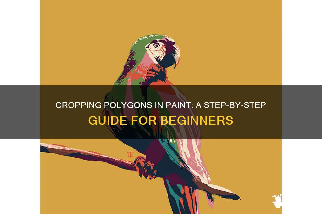 Cropping Polygons In Paint: A Step-By-Step Guide For Beginners | CyPaint