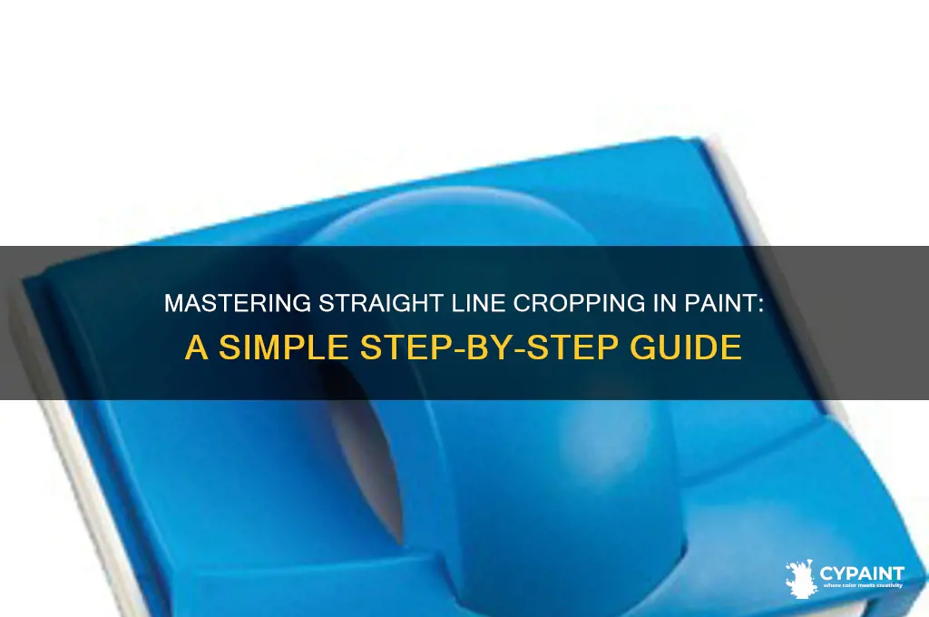 Mastering Straight Line Cropping In Paint: A Simple Step-By-Step Guide ...