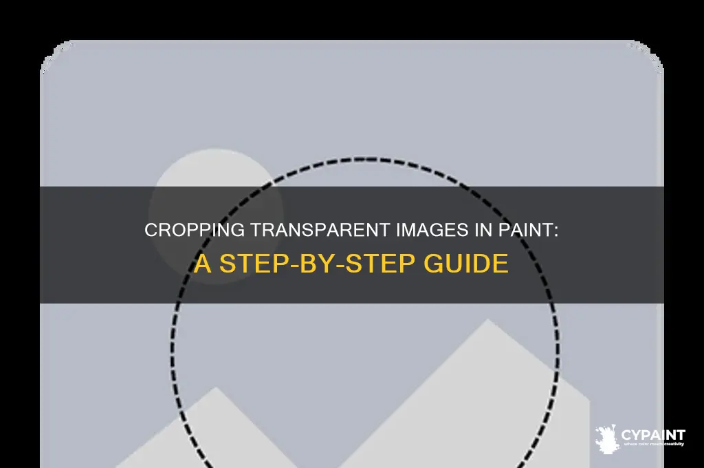 Cropping Transparent Images In Paint: A Step-By-Step Guide | CyPaint