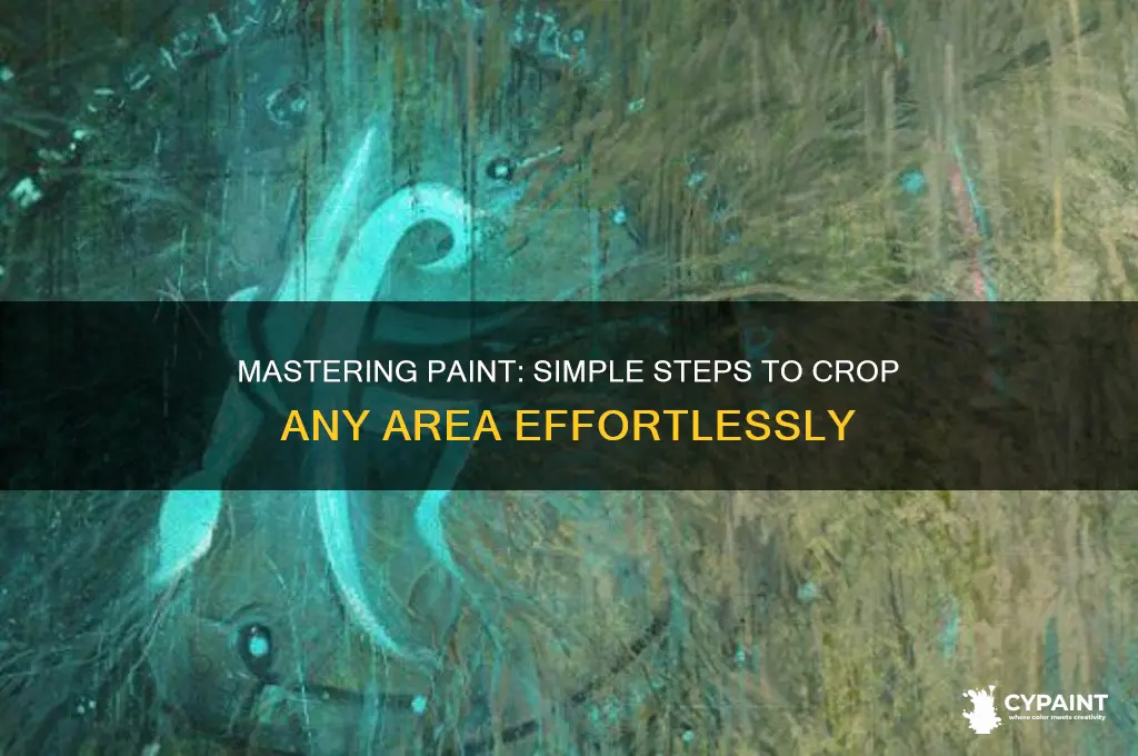 Mastering Paint: Simple Steps To Crop Any Area Effortlessly | CyPaint