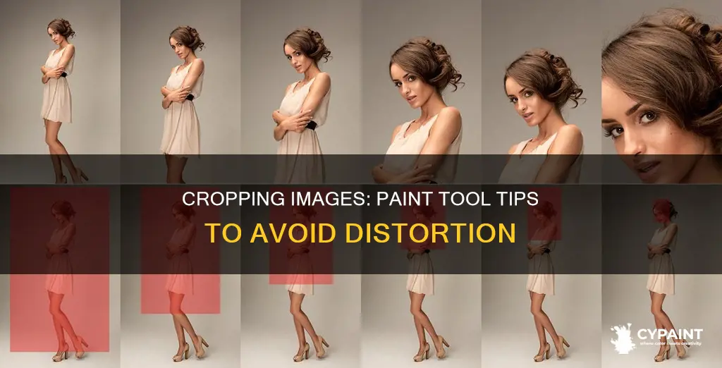 Cropping Images: Paint Tool Tips To Avoid Distortion | CyPaint