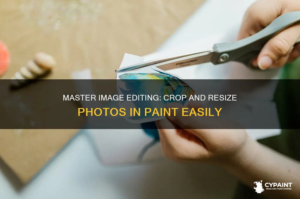 Master Image Editing: Crop And Resize Photos In Paint Easily | CyPaint