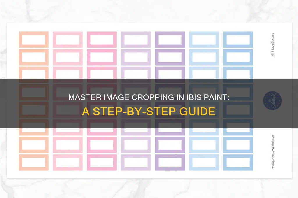 Master Image Cropping In Ibis Paint: A Step-By-Step Guide | CyPaint