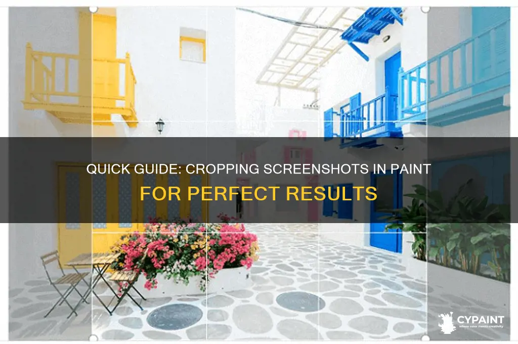 Quick Guide: Cropping Screenshots In Paint For Perfect Results | CyPaint