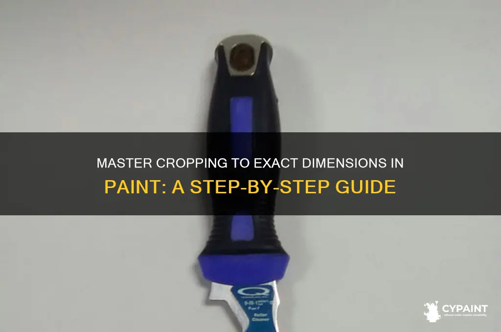 Master Cropping To Exact Dimensions In Paint: A Step-By-Step Guide ...