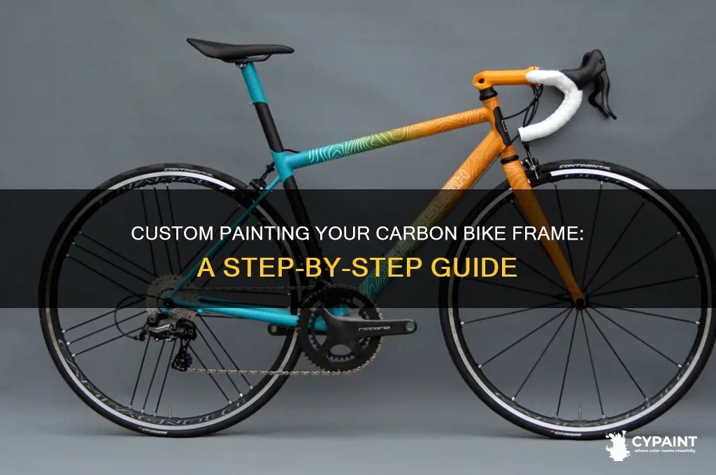 Custom Painting Your Carbon Bike Frame: A Step-By-Step Guide | CyPaint