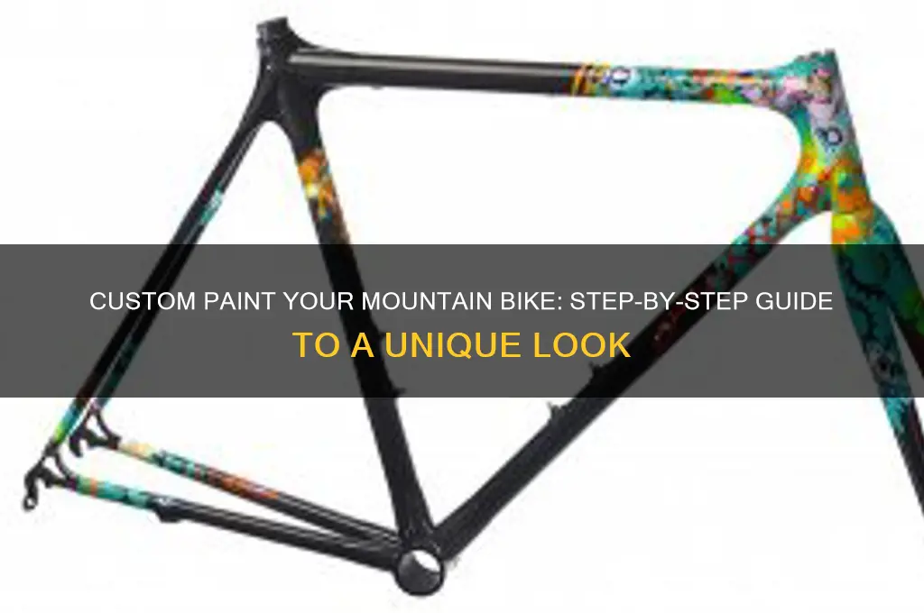 Custom Paint Your Mountain Bike: Step-By-Step Guide To A Unique Look ...