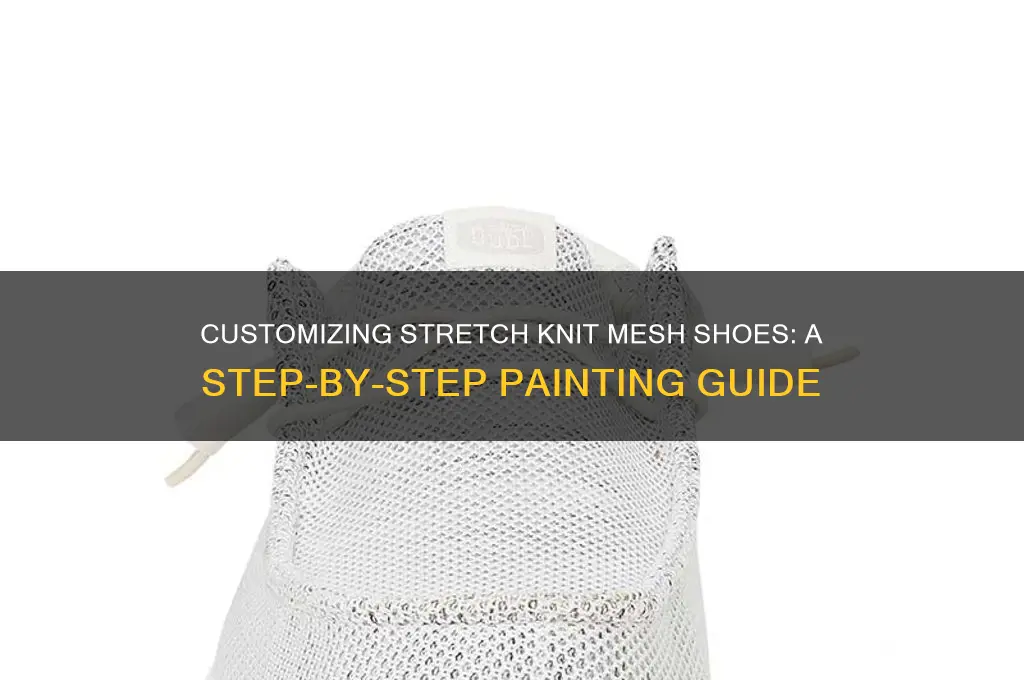 Customizing Stretch Knit Mesh Shoes: A Step-By-Step Painting Guide ...
