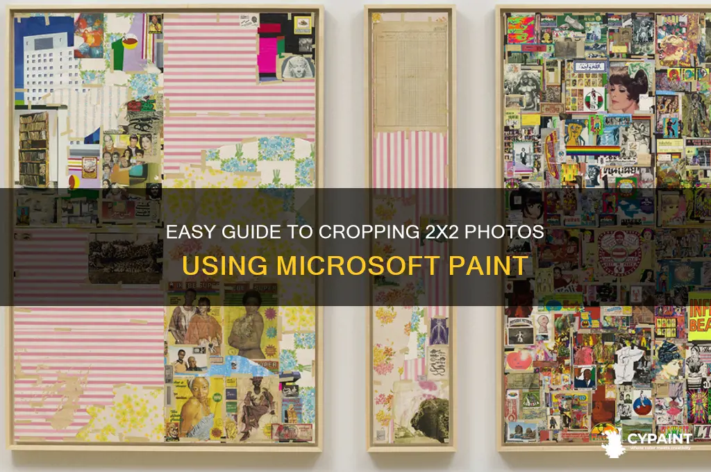 Easy Guide To Cropping 2X2 Photos Using Microsoft Paint | CyPaint