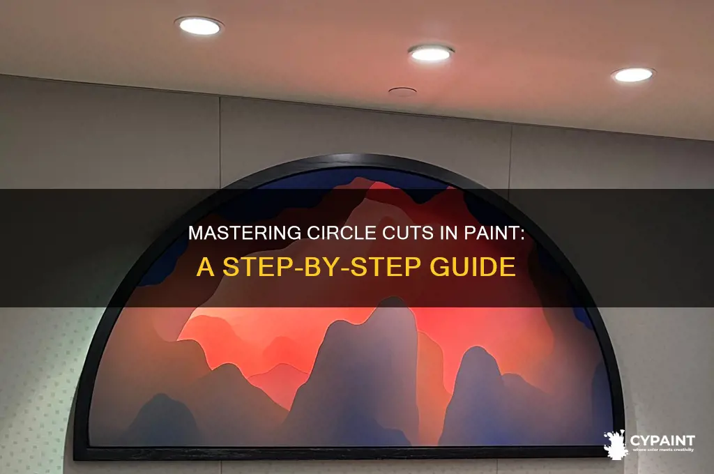 Mastering Circle Cuts In Paint: A Step-By-Step Guide | CyPaint